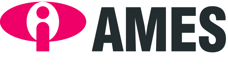 AMES employee ratings and reviews | SEEK